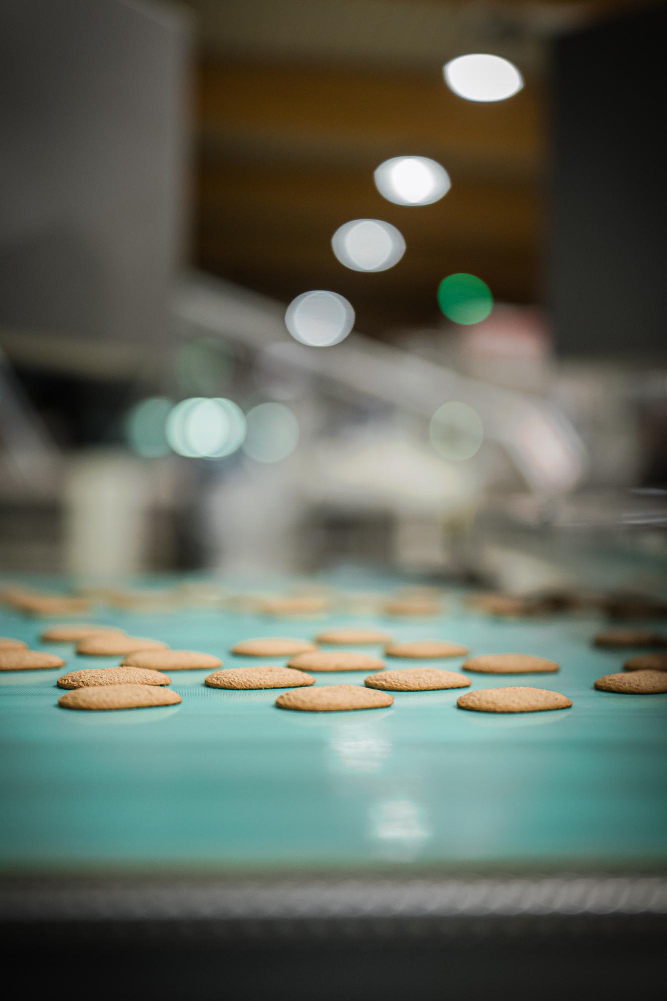 Operator voeding/productie medewerker